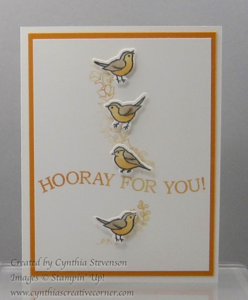 HOORAY FOR YOU - Cynthia Stevenson, Stampin Up! Demonstrator